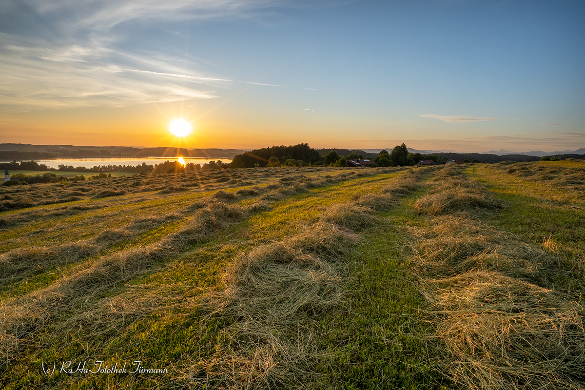 Startseite * Gemeinde Petting