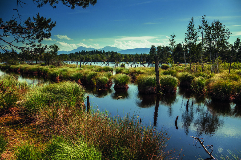 Startseite * Gemeinde Petting