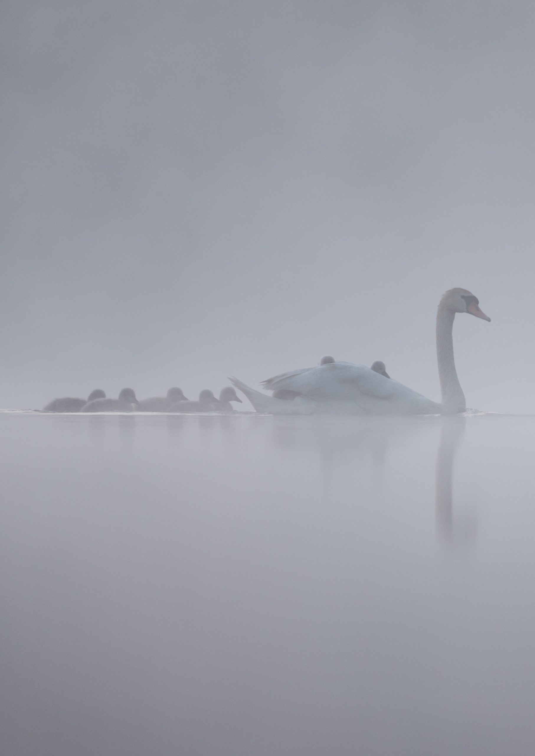 Startseite * Gemeinde Petting